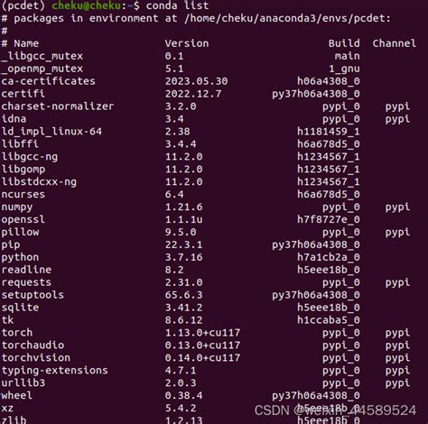 虚拟环境conda安装cuda117和cudnn和pytorchpytorch Cuda117 Csdn博客