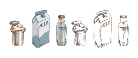 Hand Drawn Vintage Sketch Of Milk Carton Glass Bottle And Soft Cream
