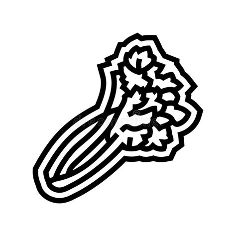 Celery Allergen Free Product Food Line Icon Vector Illustration Stock