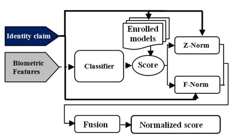 The General Block Diagram Of The Proposed Normalization Scheme