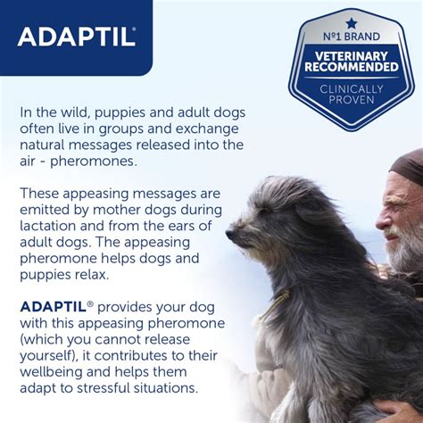 Adaptil Calm On The Go Collar Helps Dogs Cope With Behavioural Issues