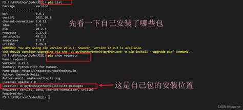 Python使用pip成功导入库后还是报错的解决方法针对vscodepython脚本之家
