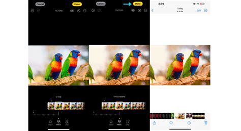 Filters For Iphone Camera Filters For Optimizing Your Camera Shots