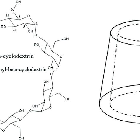 Schematic Representation Of The Beta Cyclodextrin And Download Scientific Diagram