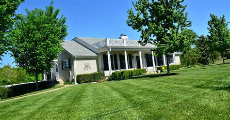 Lawn Dethatching Guide How And When To Detatch Your Lawn Lawn Chick