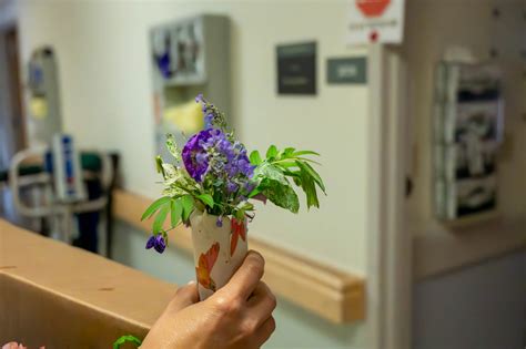 Garden Club Delivery At Mdi Hospital Mdi Hospital