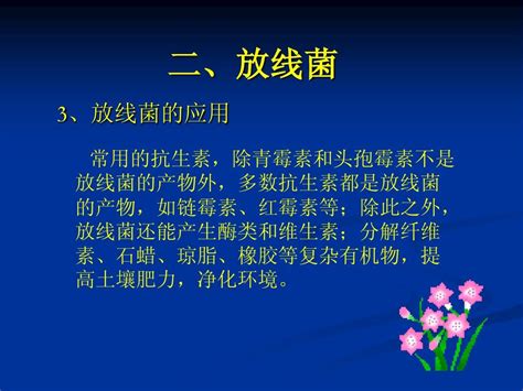 土壤里的微生物新word文档在线阅读与下载无忧文档