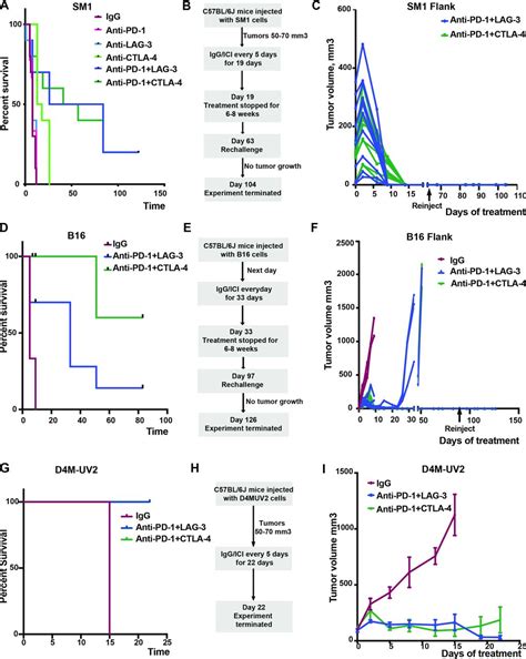 Differential Requirements For Cd4 T Cells In The Efficacy Of The Anti