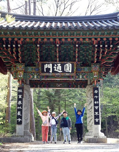 [소년중앙] 자연과 문화적 가치 뛰어난 국립공원 어떻게 지정·보전할까요 중앙일보