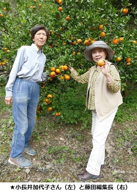 【静岡県】安心でおいしいみかん作りに情熱を注ぐ「小長井農園」を訪ねて｜羽ばたけ！みんなの地元自慢｜わかさ生活コラム｜わかさ生活ショッピング｜わかさ生活