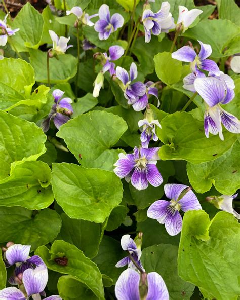 Texture Jenna Flaherty