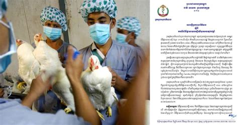 ក្រសួងសុខាភិបាល ចេញសេចក្តីប្រកាសព័ត៌មាន ស្តីពីករណីជំងឺផ្តាសាយបក្សី លើក្មេ ងប្រុសអាយុ១៦ឆ្នាំ