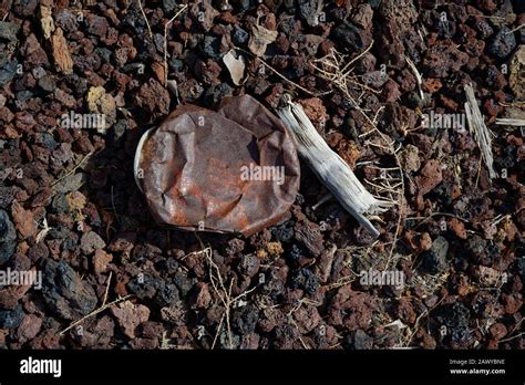 Rusty Tin Can Hi Res Stock Photography And Images Alamy