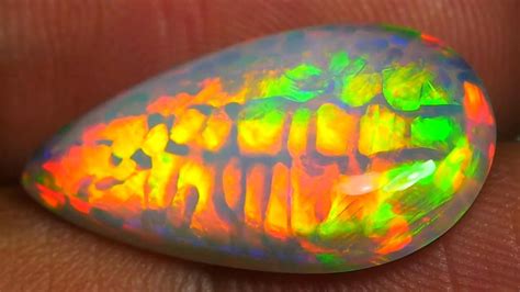 19 Ammonite Fossils Ideas Ammonite Fossils Gems And Minerals