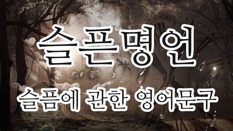 [슬픈명언] 슬픔에 관한 영어문구 Youtube