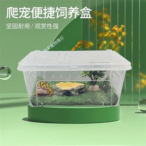 購滿199發貨 爬寵爬蟲飼養盒 高透耐用 便攜開口 守宮烏龜寄居蟹角蛙昆蟲無毒盒子 蝦皮購物