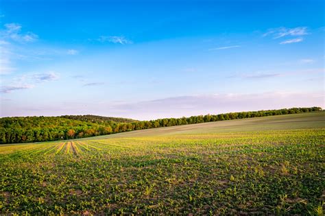 Agricultural Agriculture Free Photo On Pixabay Pixabay