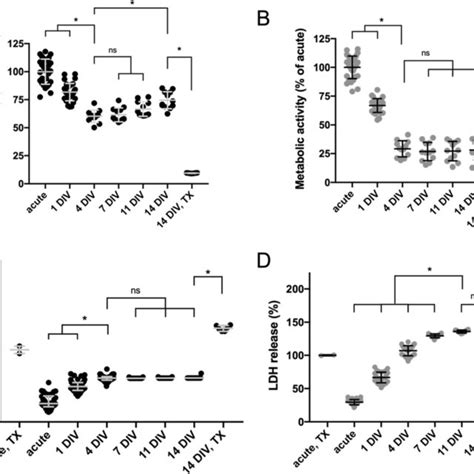 Metabolic Activity Ldh Release And Cell Proliferation Profiles