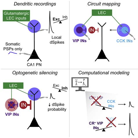 Lateral Entorhinal Cortex Inputs Modulate Hippocampal Dendritic Excitability By Recruiting A