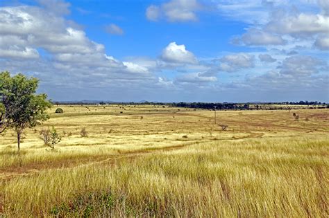 “crystal Vale” Rural Market Queensland