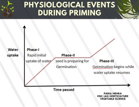 Advances In Seed Priming Pdf Agriculture Industries