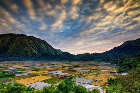 Bukit Selong Sembalun Lombok Daya Tarik Harga Tiket Masuk Rute