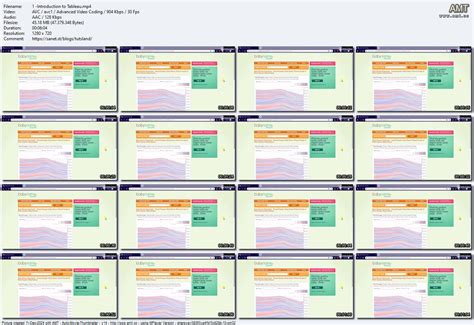 Business Intelligence And Advanced Analytics With Tableau SoftArchive
