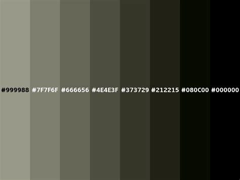 Hex 999988 Color