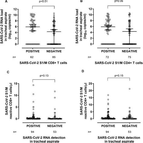 Relationship Between Sars Cov 2 Rna Load In The Lower Respiratory Tract Download Scientific
