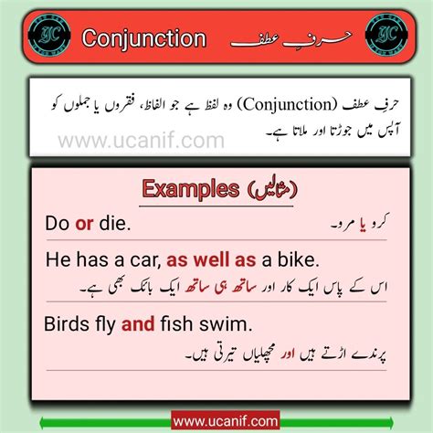 Interjection In Urdu Meaning Definition Examples All Types Artofit