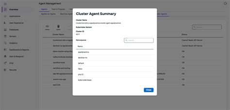 Use The Cluster Agent