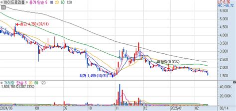 하이드로리튬 주가 And 전망 장중 분석 데이터 250214