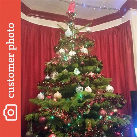 Buy Nordman Fir Christmas Trees Online Send Me A Christmas Tree