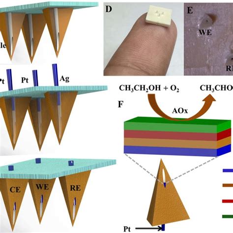 Pdf Microneedle Biosensor For Minimally Invasive Transdermal Detection Of Nerve Agents