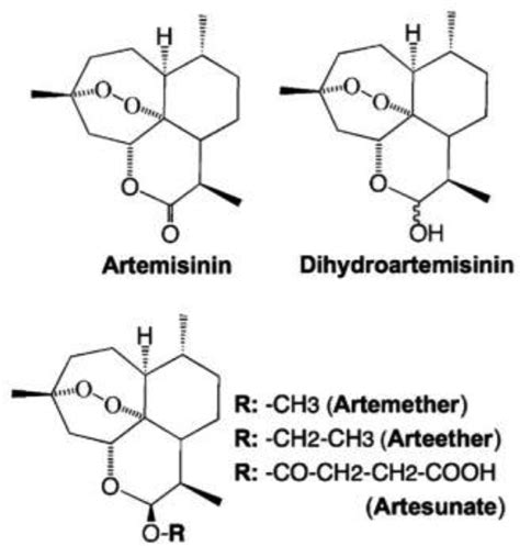 Artemisinin And Its Derivatives Adapted From Nakase Et Al 200