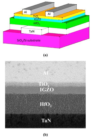 A Schematic Tft Structure And B Cross Sectional View Of Tem Image For