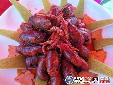 同江魚蝦蟹速看吉水今年這樣話豐收 每日頭條