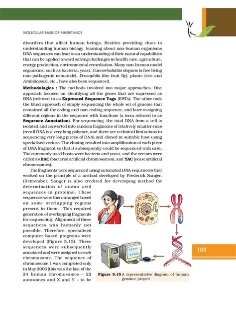 NCERT Book Class Biology Chapter Molecular Basis Of Inheritance PDF AglaSem
