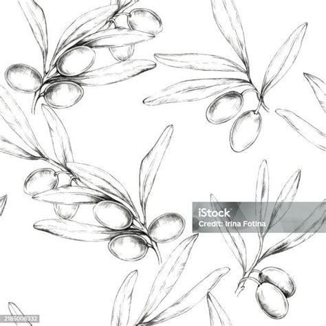 올리브와 올리브 가지 연필로 섬세하게 스케치 흑인과 백인 완벽 한 패턴입니다 이 일러스트레이션은 패브릭 프린트에 적합합니다 과일에 대한 스톡 벡터 아트 및 기타 이미지