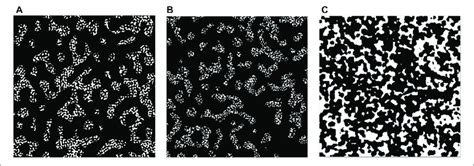 Virtual Microstructures Generated By A Levelled Wave Method B Download Scientific Diagram