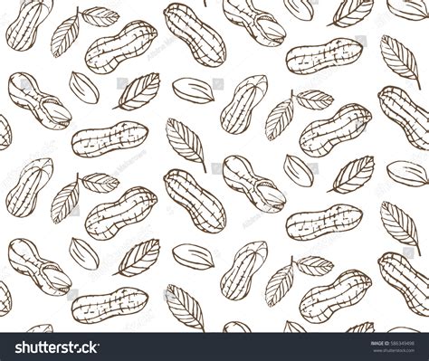 Seamless Pattern Peanut Stock Vector Royalty Free 586349498