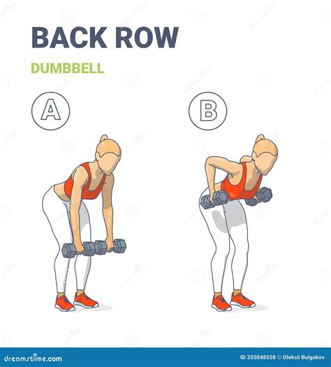Sport Woman Doing Fitness With Dumbbell Back Row Exercise In Two Steps Stock Illustration