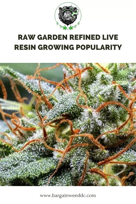 Ppt Visit An Online Dispensary To Purchase Raw Garden Refined Live