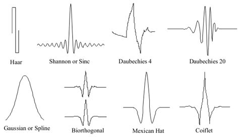 Examples Of Types Of Wavelets 7 Download Scientific Diagram