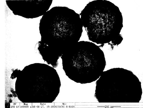 Hollow Structured Magnetic Microsphere Coated With Mono Dispersed