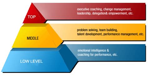 Levels Of Management Top Middle And Lower