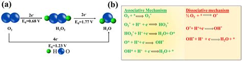Fundamentals Of Oxygen Reduction Reaction Encyclopedia Mdpi