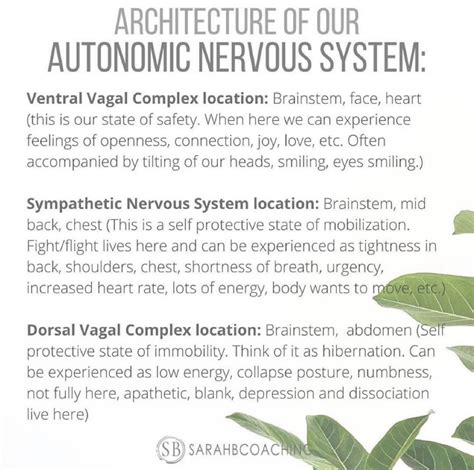 Are You A Woman With Too Much Masculine Energy Find Out Now Artofit
