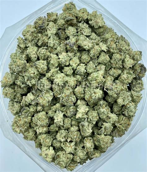 Buy Popcorn Bulk Powdered Donuts Online One Two Treez