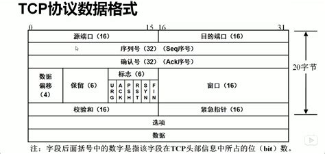 TCP三次握手和四次挥手的过程 程翔北 博客园